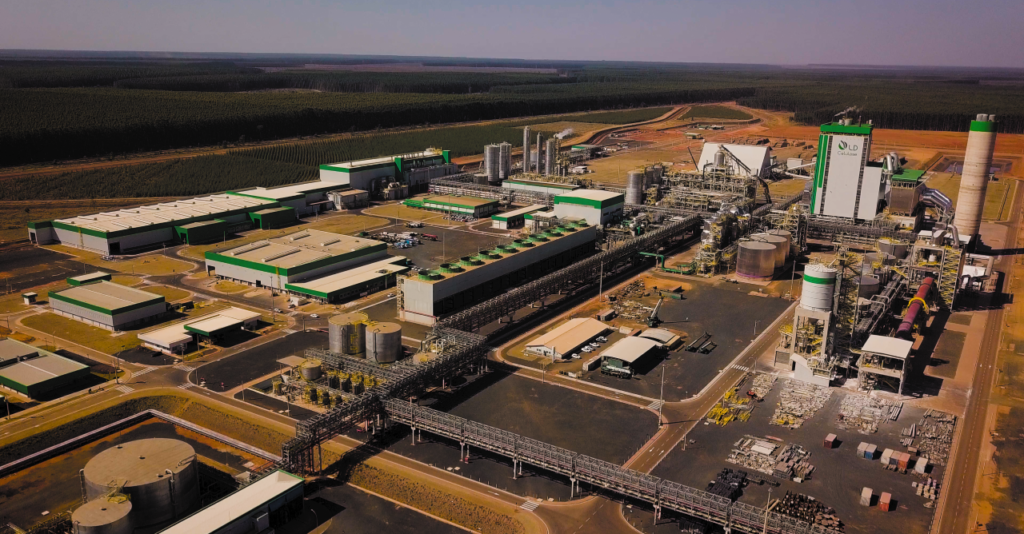 Nova fábrica da LD Celulose atende às demandas de celulose solúvel ...