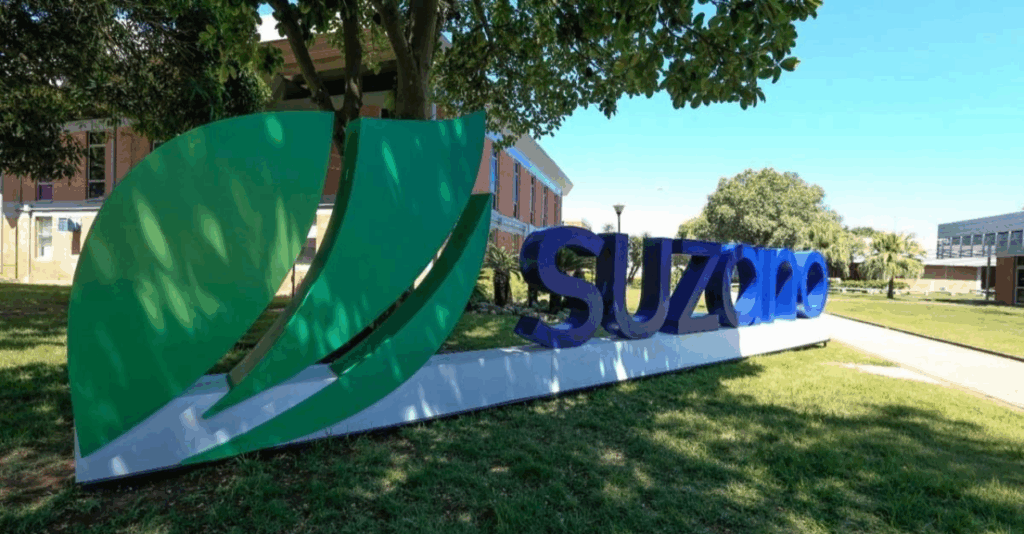 Suzano abre vagas em MS com foco em operações florestais e de celulose